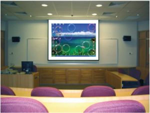 Remaco Pro-L Series : Projector Screens | Asterique Malaysia